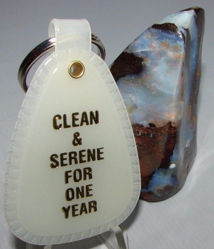 NARCOTICS ANONYMOUS NA glow white KEY TAG 1 one YEAR medallion Serenity ...