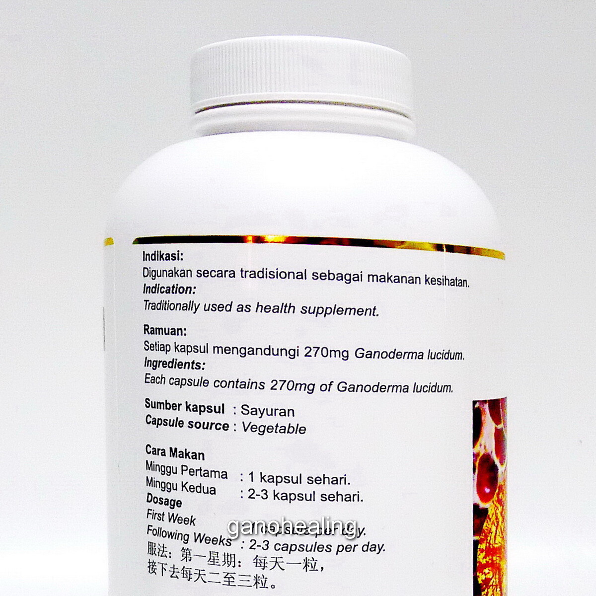 DXN Reishi Gano RG 90 + Ganocelium GL 90 Capsules Ganoderma Lingzhi ...