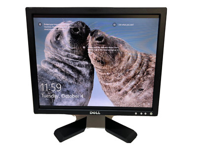 Dell E178FPb 17" VGA Monitor w/Stand & VGA, Powers Cables! | eBay