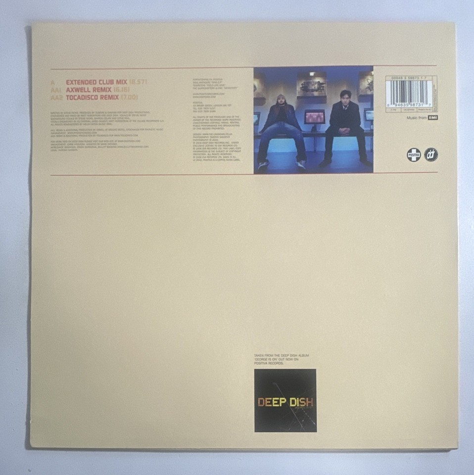 Deep Dish Feat. Stevie Nicks Dreams 12” Vinyl Record House EX / EX ...