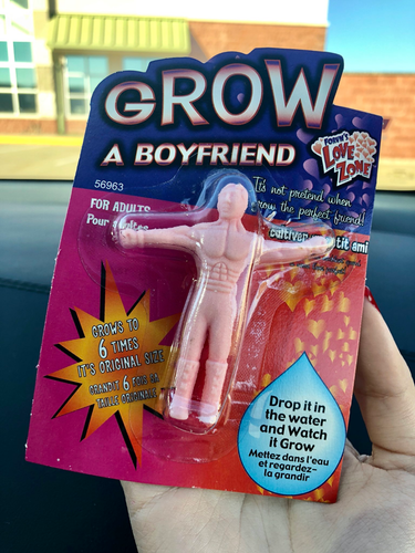 GROW A BOYFRIEND YOUR OWN MAN MALE RUDE SECRET SANTA GIFT STOCKING JOKE ...