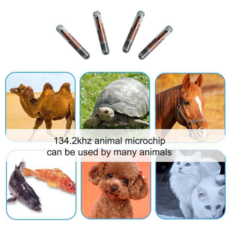 10pcs 1.25*7mm FDX-B Rfid Transponder Chip dog pet ID microchip animal ...