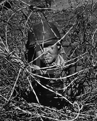 US Army Soldier Barbed Wire WWII Photo FL90 | eBay