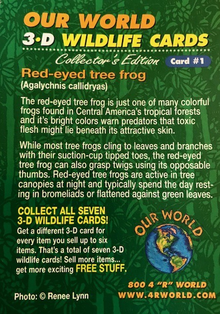 3-D LENTICULAR Trading Card - Central America RED-EYED TREE FROG - FREE ...