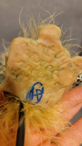 Drabbit Baby Shoulder Cable Puppet by Albert Alfaro - ANNIVERSARY ...