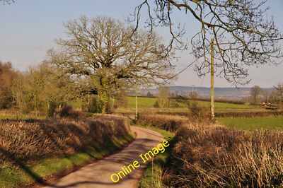 Photo 6x4 Mid Devon : Country Lane Ash Thomas A small lane heading ...