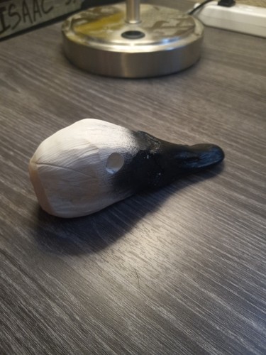 artificial Canada goose head Taxidermy painted | eBay