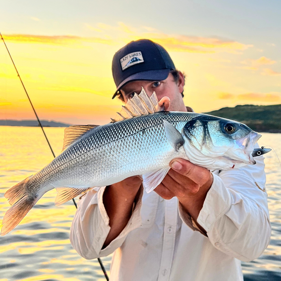 Lazy Lures | Renaissance Eels 18g/14cm | 5 Lures Per Pack For Bass ...