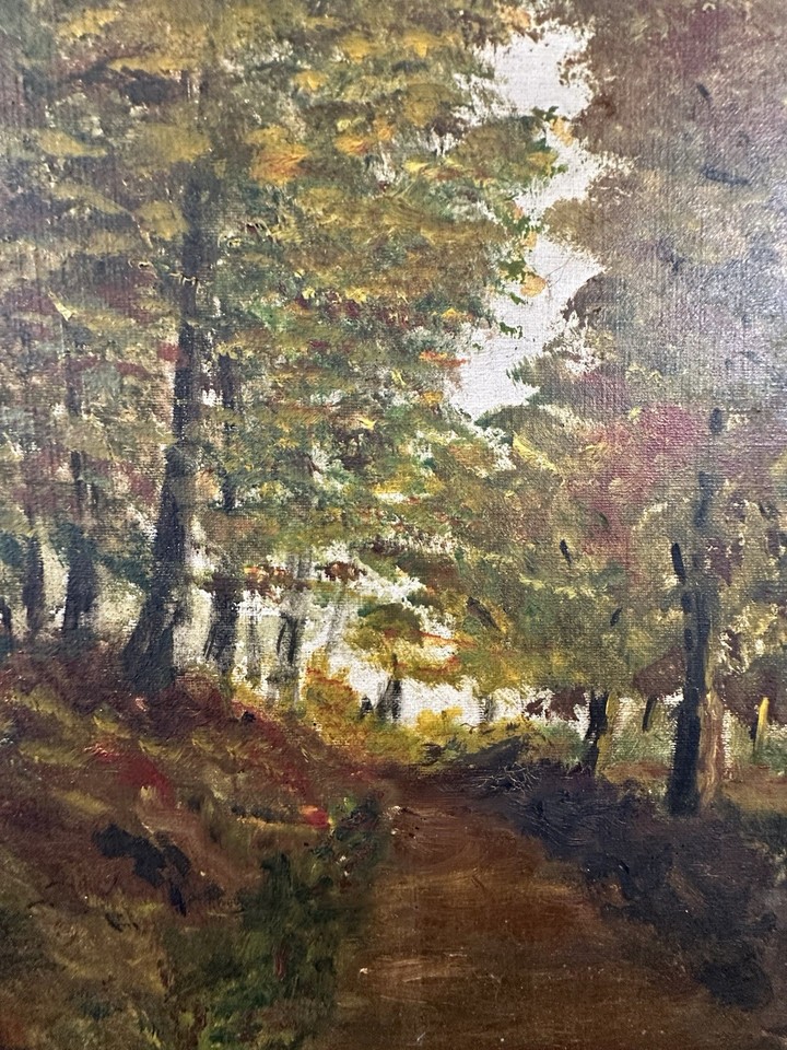 Oil on Canvas Signed School French Early 20th: View A Arch en Forêt ...