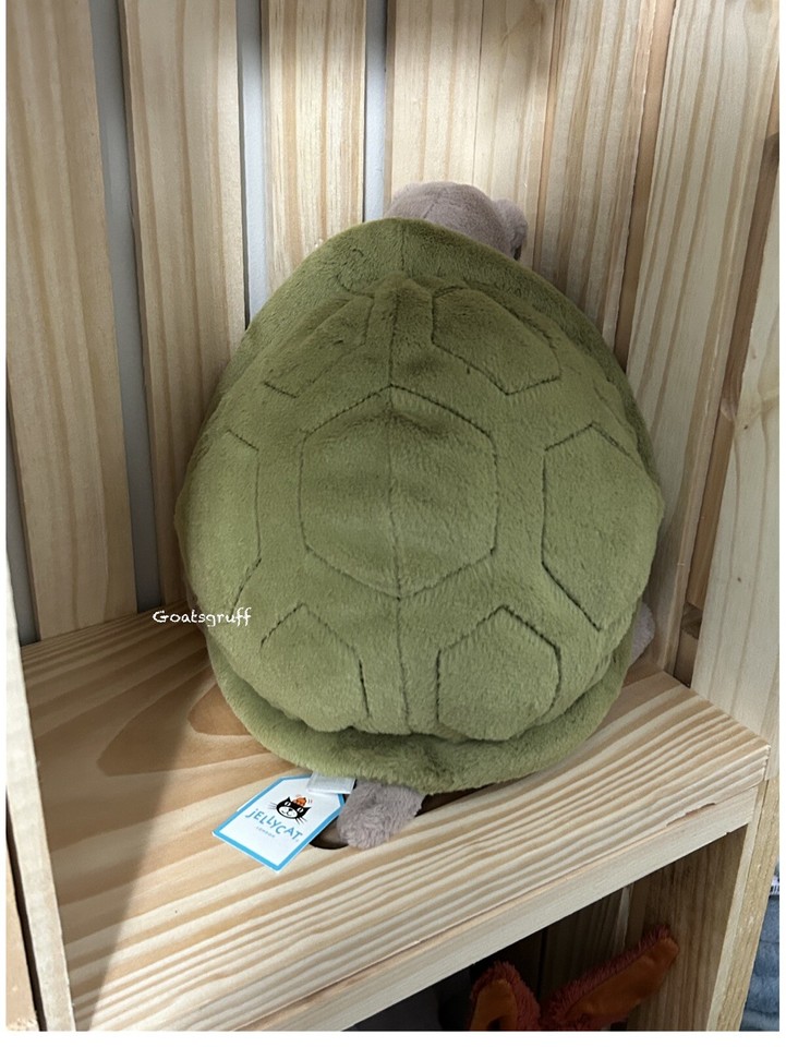 Jellycat Timmy Turtle Soft Plush Toy Grumpy Stuffed Animal NWT! | eBay