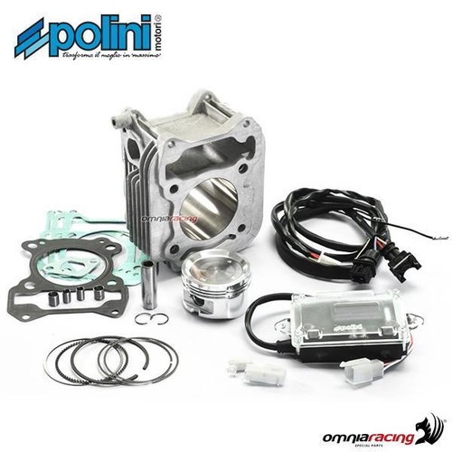 Polini aluminum cylinder kit for Piaggio FLY 125 3V ie 2012> | eBay ...