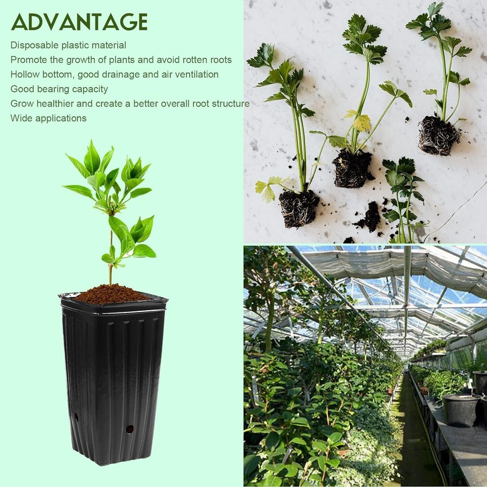 30PCs Tall Tree Pots Plastic Deep Plant Nursery Pots Tall Seedling ...