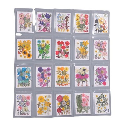 Dried Flower Kit Dry Pressed Flowers Plant Specimen For Art Crafts ...