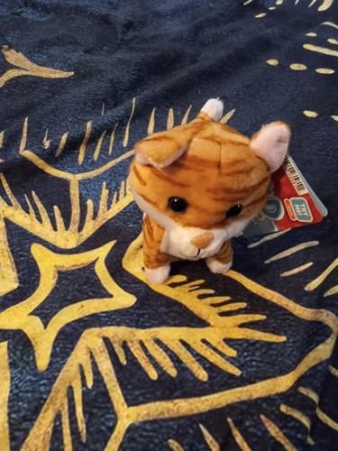 Mini Walking Pet Kitten Walks & Meows | eBay