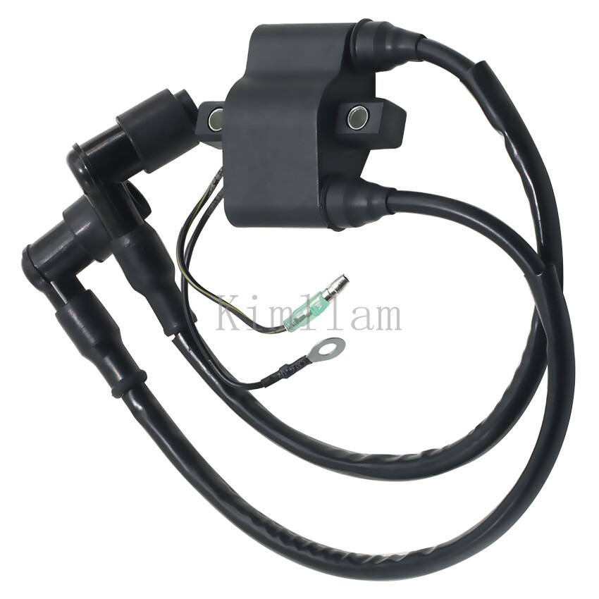Outboard Ignition Coil for Nissan 15HP NS15D2 9.9HP NS9.9D2 18HP NS18E2 ...
