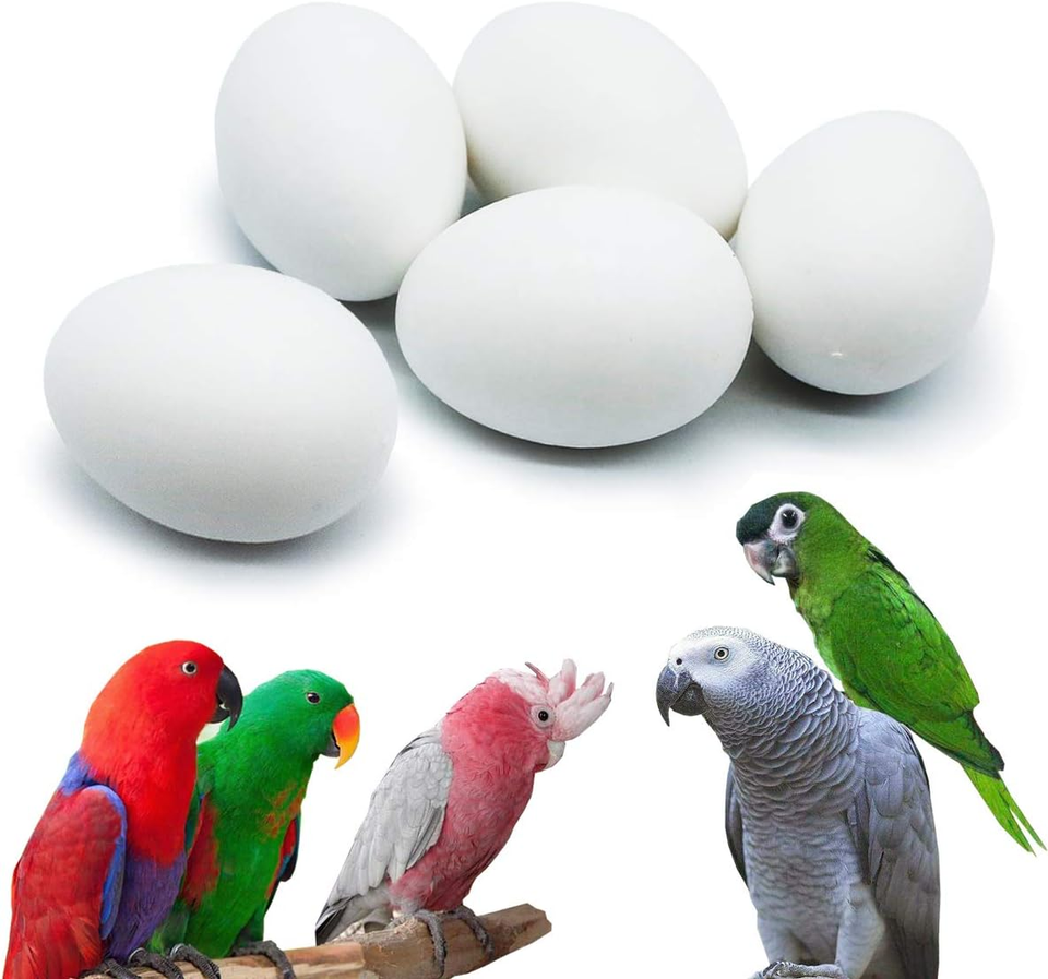 5 Pcs Solid Parrot Plastic Eggs Hatching Eggs Mini Macaw Amazon ...