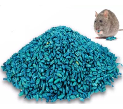 RAT MOUSE POISON BAIT MAX STRENGTH RODENT KILLER GRAIN KILLS SINGLE ...