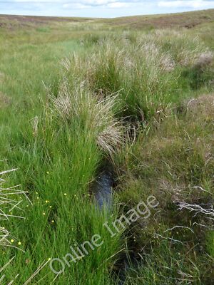 Photo 6x4 Black Burn Loch Rangag The burn flows down into [[157839 ...