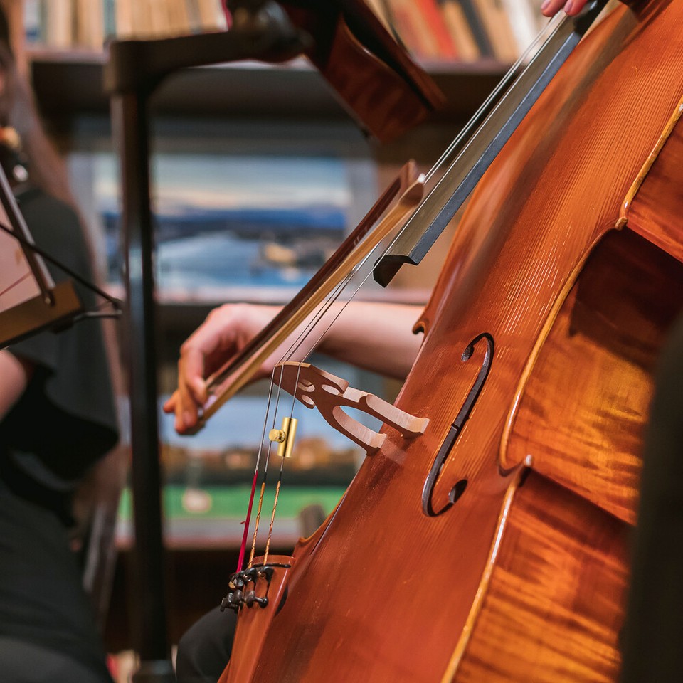 Wolf Note Eliminator Wolf Tone Mute Wolf Tone Suppressor Eliminate Wolf ...