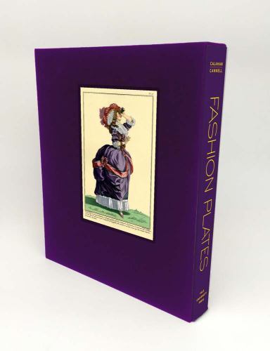 Fashion Plates : 150 Years of Style by April Calahan (2015, Hardcover ...