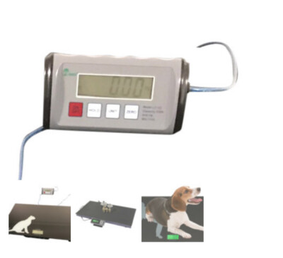 Dental Imaging & X-Ray - Remote Interface