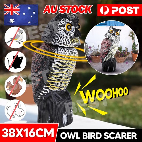 Bird Deterrent Scare Owl with Rotating Head Large Realistic Possum ...
