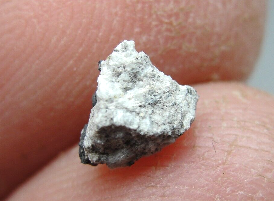 Norton County - Achondrite Aubrite Meteorite - NC-0741 - 0.14g - UNM ...