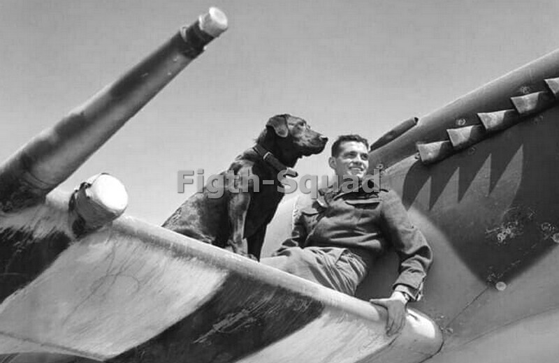 WW2 Picture Photo Spitfire RAF Pilot Johnnie Johnson and Dog Sally 5552 ...
