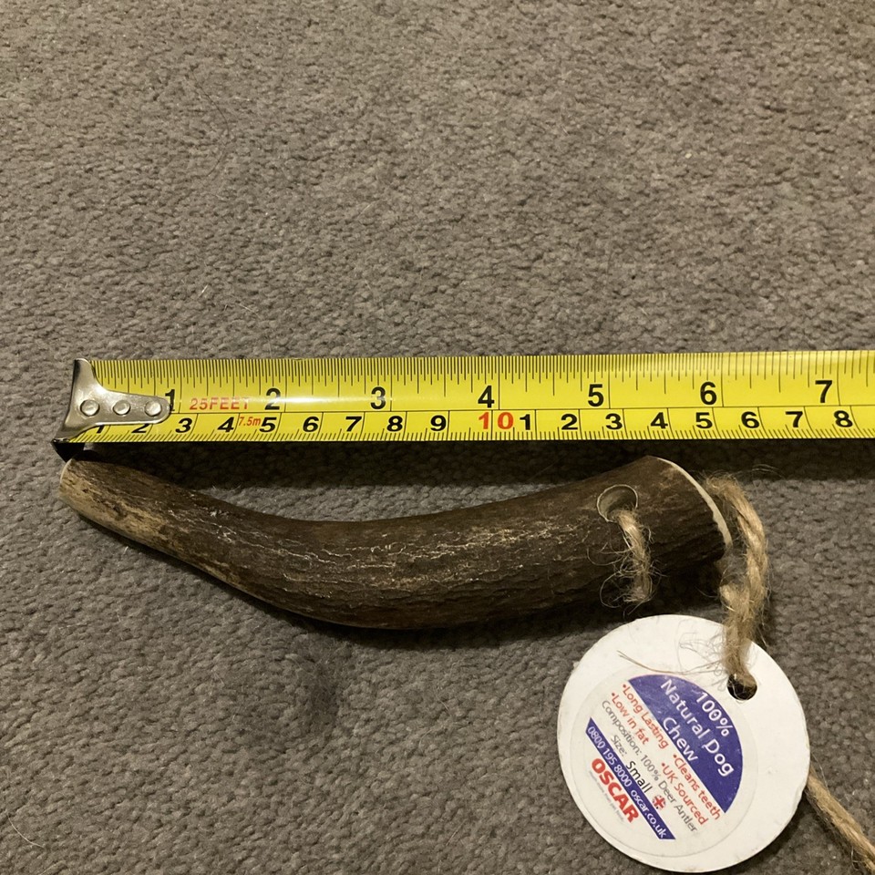 Antler Dog Chew 100% Natural Small UK Sourced (Weight 50g and 15cm long ...
