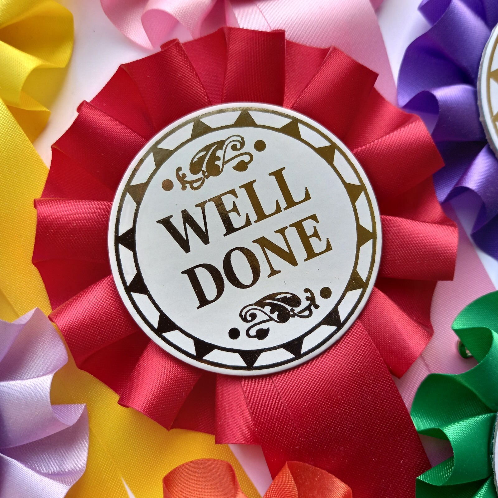 Well Done Rosettes 10 X 1 Tier Award Rosettes Horse Dog Rosettes FREE ...