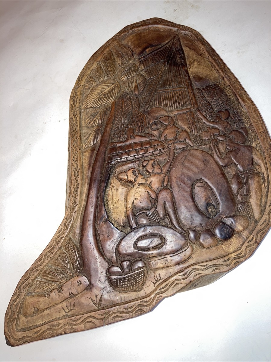 Palau Turtle Sea Turtle Numbers Improving