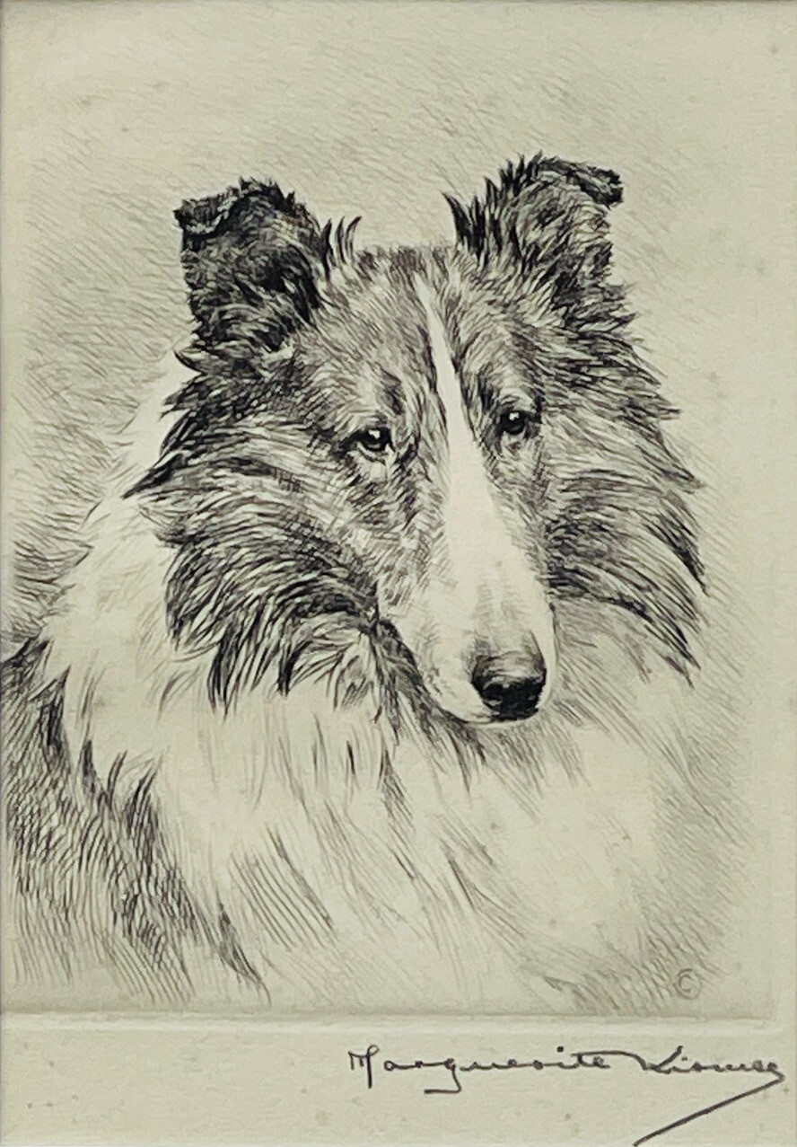 1930’s Signed Collie Dog Drypoint Etching. Dog Portrait Artist ...