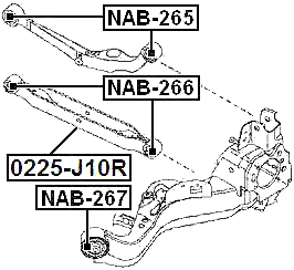 Bushing, Rear Transverse Arm Fits Nissan 55045-JY00C, 55110-JD000 ...