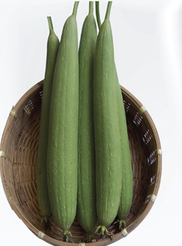 Asian/Bangladeshi Hybrid Sponge Gourd/luffa/ Dundul Vegetable - 12 ...