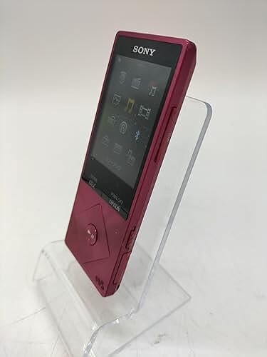 Sony Walkman NW-A25 16G Portable Audio Hi-Res Player red A Body only | eBay