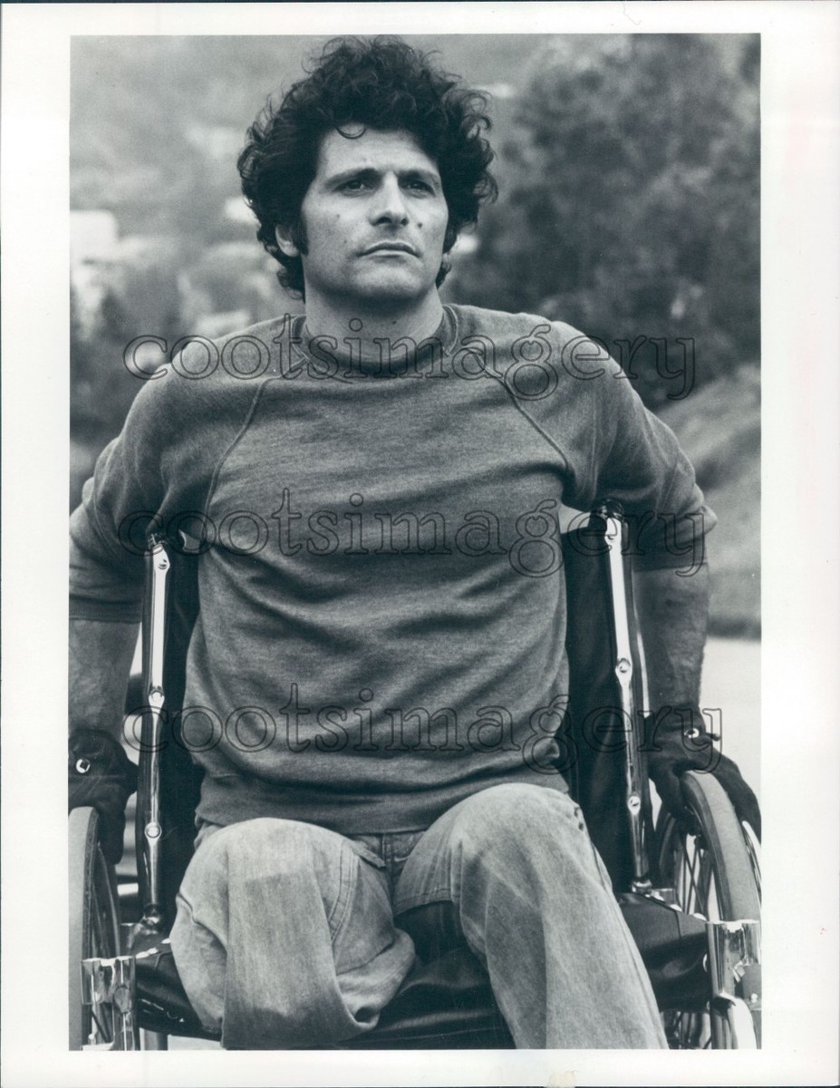 Jane Musante Animalia | Gail Severn Gallery