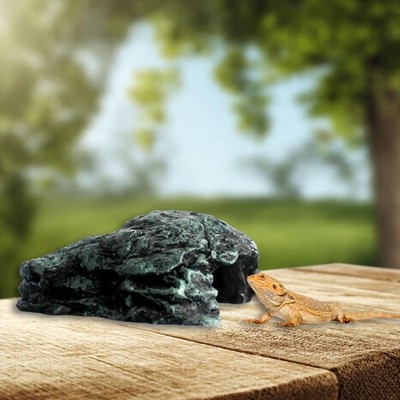 Turtle Horned Frog Avoids House and Climbs Platform Create y Scener to ...