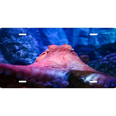 Octopus Novelty Vanity Front License Plate - Man Cave - She Shed ...