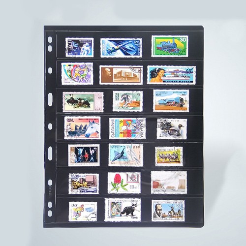 Stamp Stock Pages PCCB Stampspage 7 Strips Album PVC Leaf Collection ...