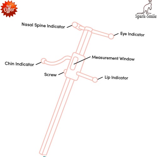 Other Dental Surgical measure patients' vertical dimension occlusion ...