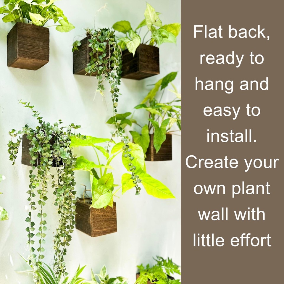 LaLaGreen Wood Planter Boxes (4 Pack 4x4 Inch) Small Square Wooden Wall ...
