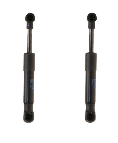 2 OEM Rear Hatch Engine Deck Lid Lift Support Shocks Struts Set for ...