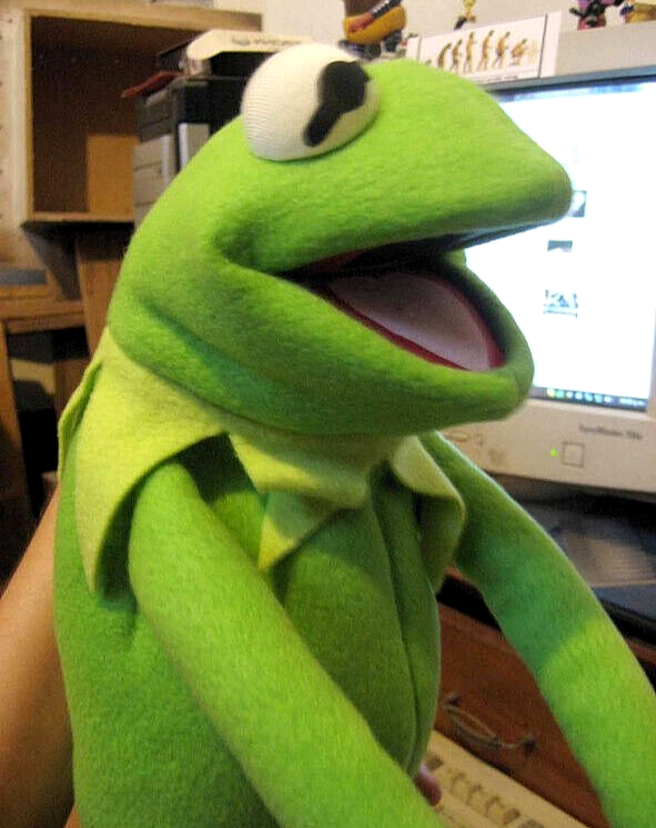 Sapo Kermit Memes Funny Green Frog With Protruding Eyes Peeping Out