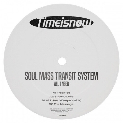 SOUL MASS TRANSIT SYSTEM All I Need 12" NEW VINYL Timeisnow | eBay
