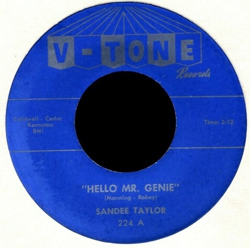 SANDEE TAYLOR HELLO MR. GENIE / LOVE BIRD 1961 NOS NM-ROCKABILLY SMOKER ...