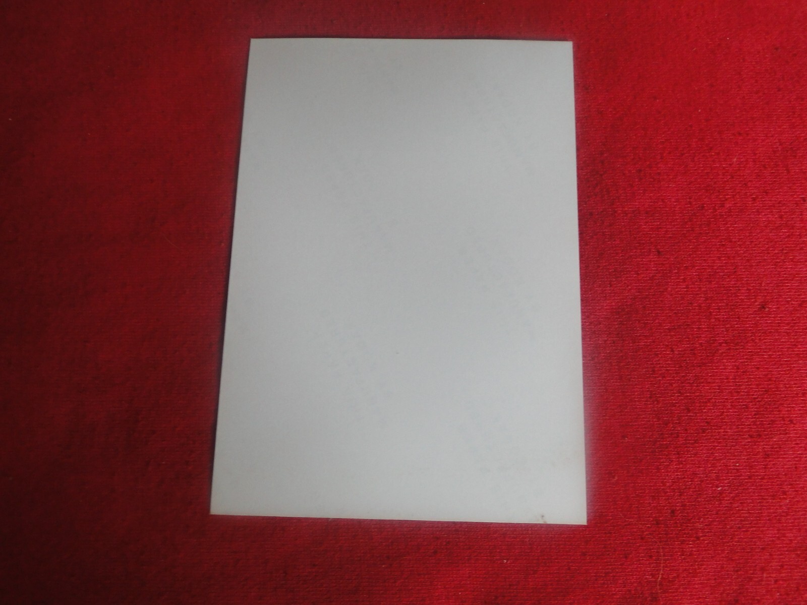 Vintage Female 1980s 3.5 x 5 Bodybuilding Muscle Woman Photo Lynn ...