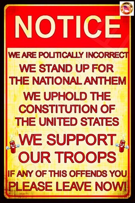 POLITICALLY INCORRECT MADE IN USA METAL SIGN 8X12 MAN CAVE BAR NATIONAL ...