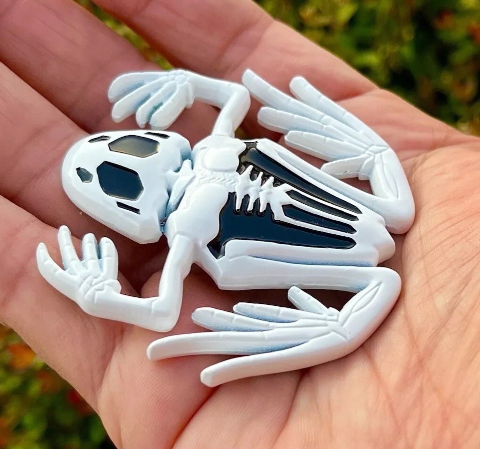 Navy Seals Bone Skull Skeleton Frog Seal Team VI 6 Challenge Coin NSW CPO UDT🐸 | eBay