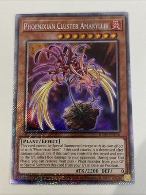 Yugioh Phoenixian Cluster Amaryllis - 1st Platinum Secret Rare NM ...