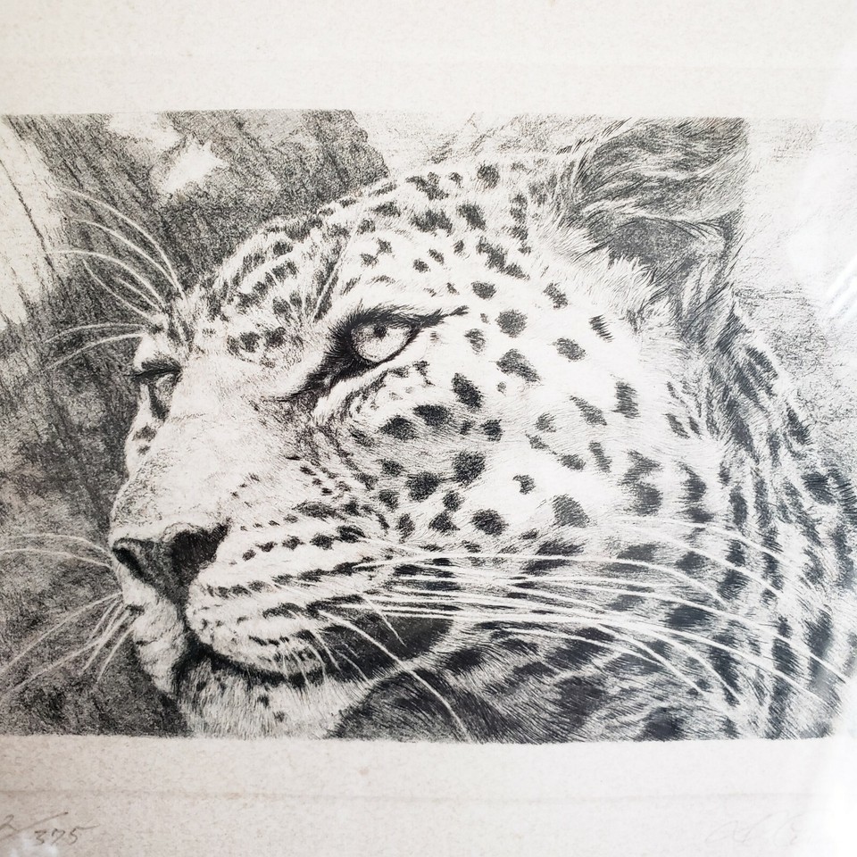 VTG Dennis Curry Etching Etched Art Leopard Wildlife Numbered 172/375 ...